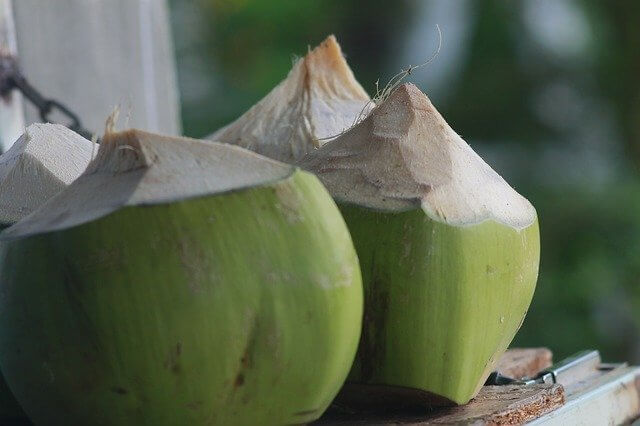 ¿Qué beneficios tiene el coco para la salud?